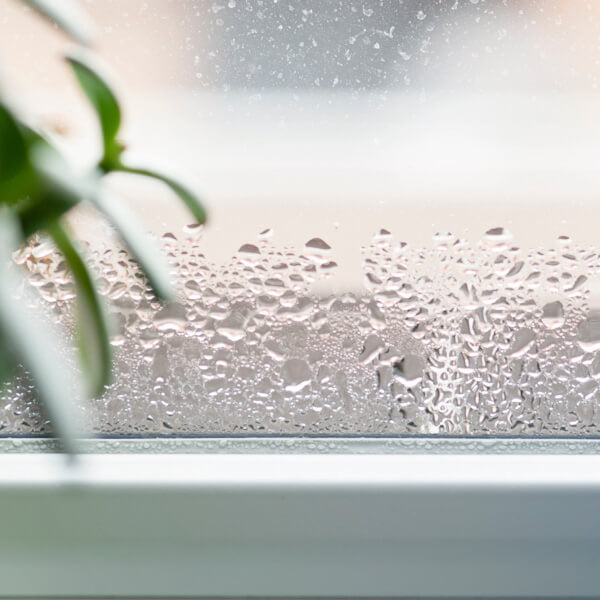 Why should you replace window/door seals? - RK Brand